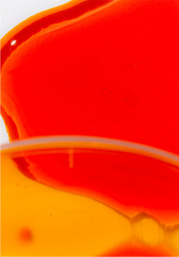 Two Islands | Evidence-based Modern Wellness Essentials